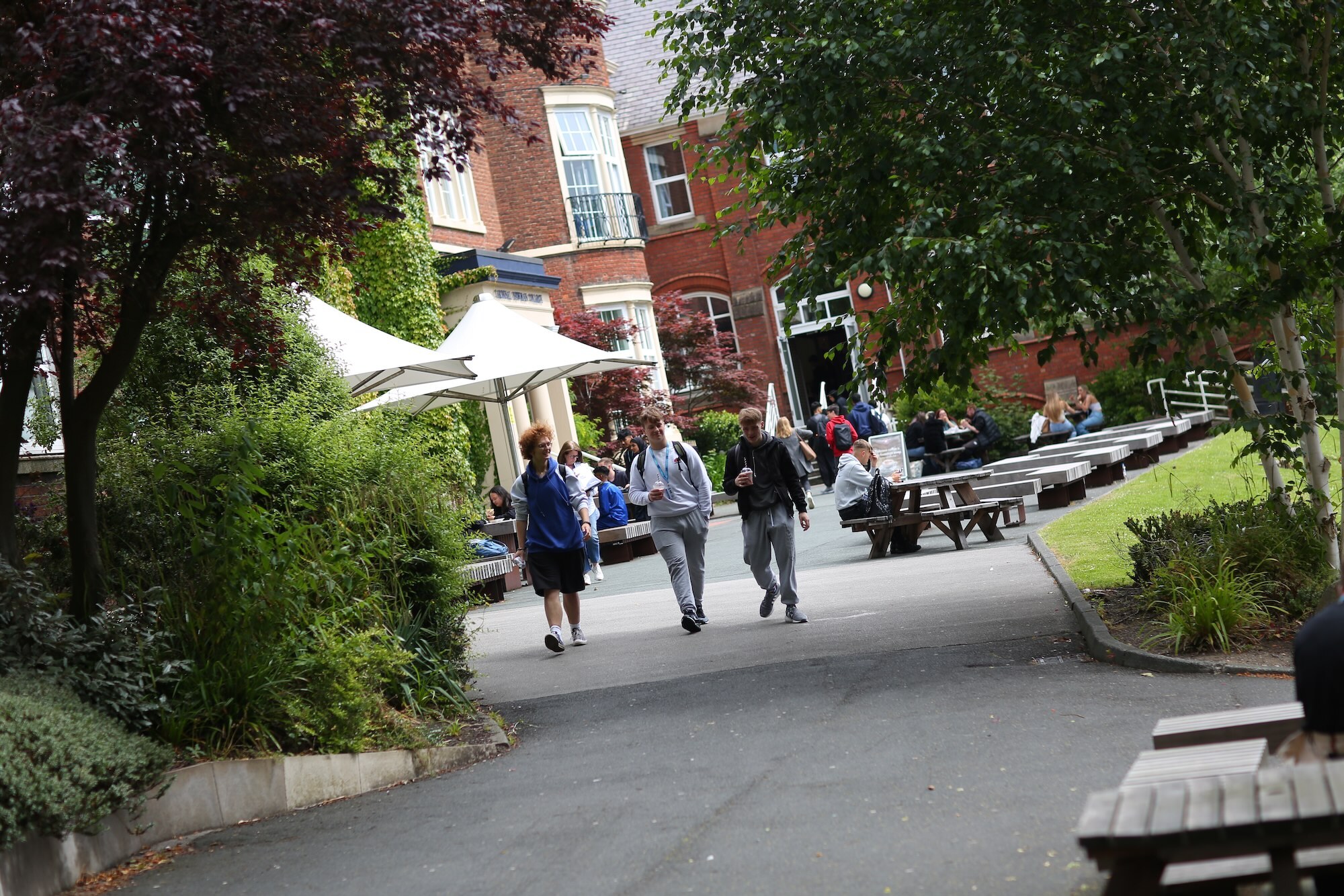 Application Journey - Cardinal Newman College